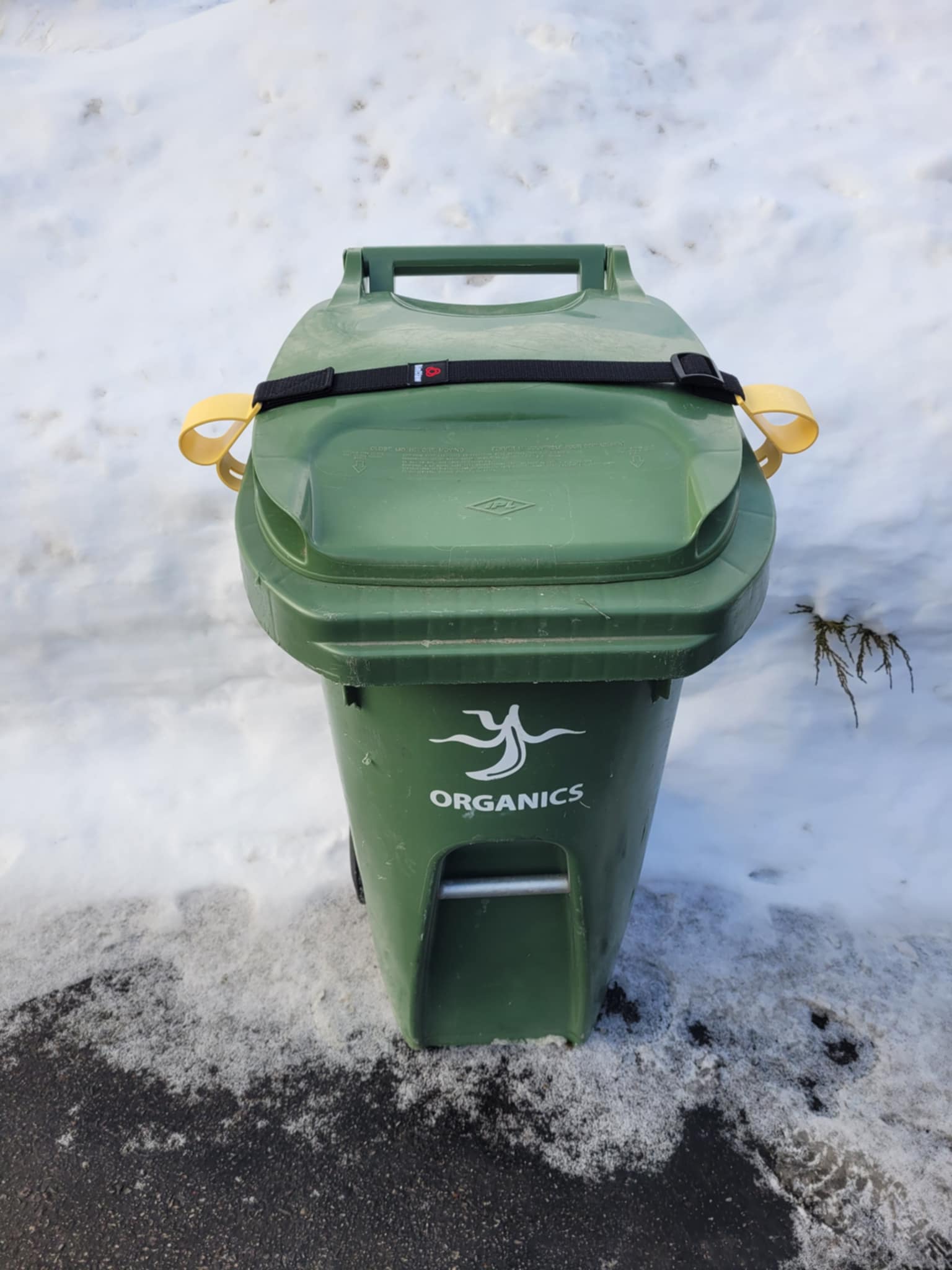 BinClaw – Leader in securing and sanitizing your trash bin