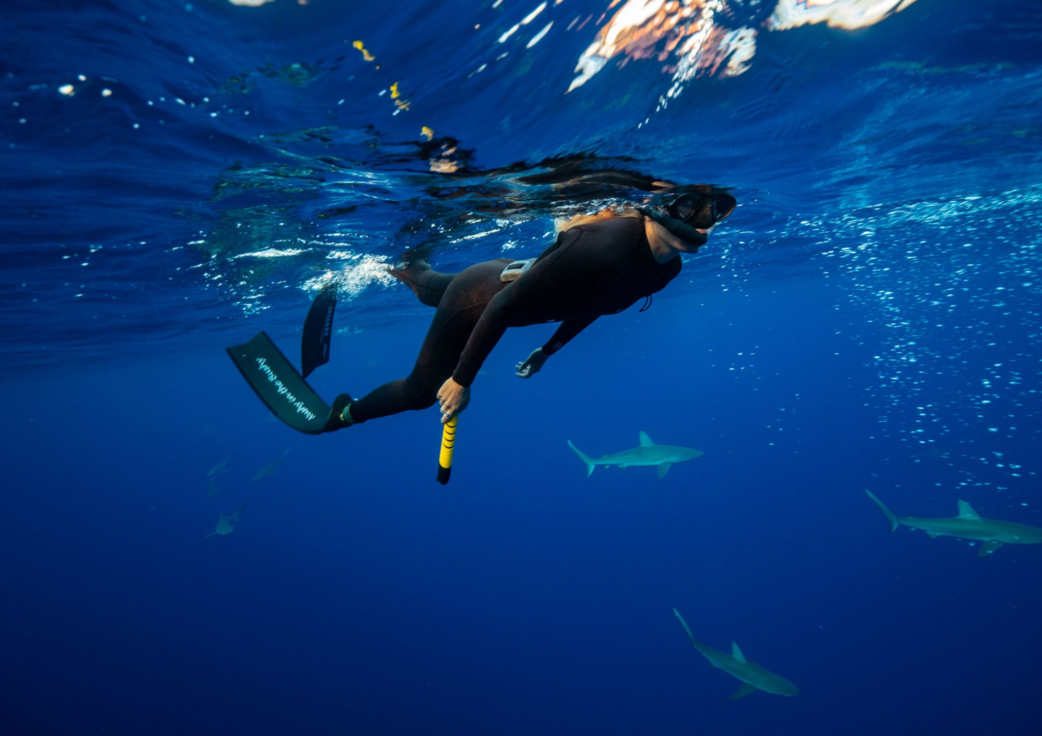 ID2360_OceanGuardian-eSpear-01 - Good Design