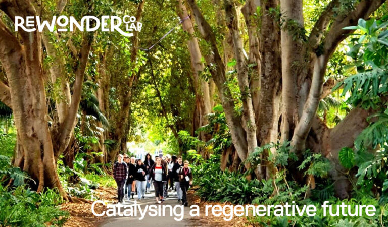 REWONDER COLAB - Good Design