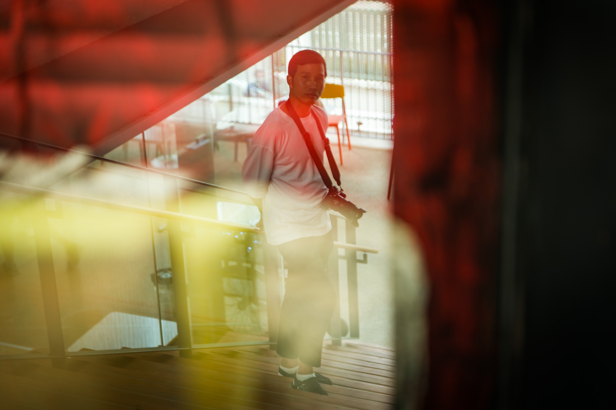 Shoot, Before Shot Down - D1839