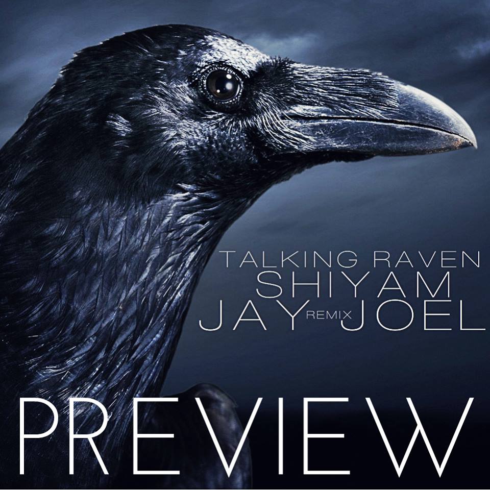 Jay Joel: “Talking Raven”(Nu Disco Remix) | Decibel