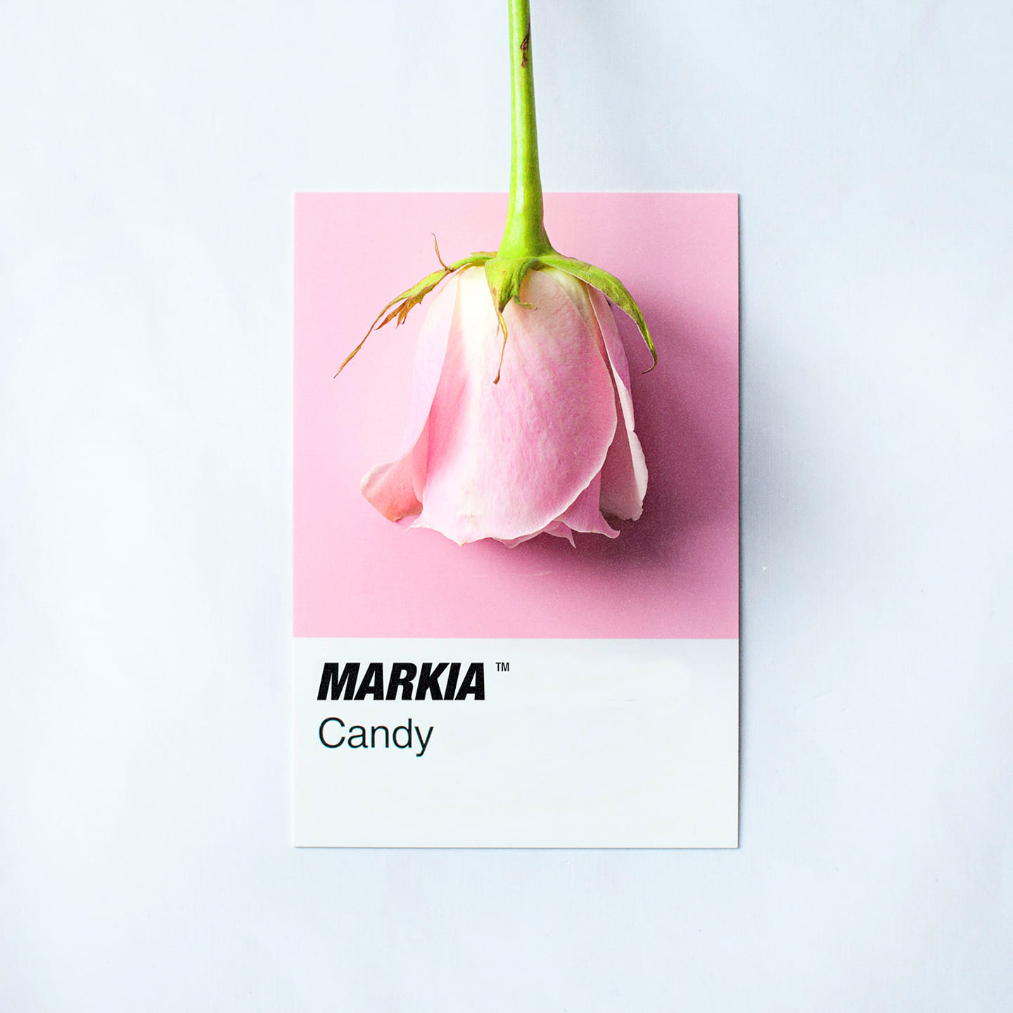 New Music : Markia – Candy | Decibel