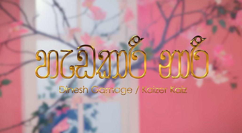 New Music : Hadakari Naari – Dinesh gamage / Kaizer kaiz (Official ...