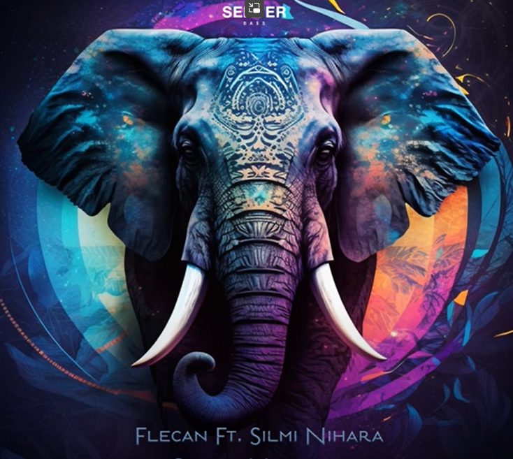 New Music : Gajaga Wannama – Flecan x Silmi Nihara | Decibel