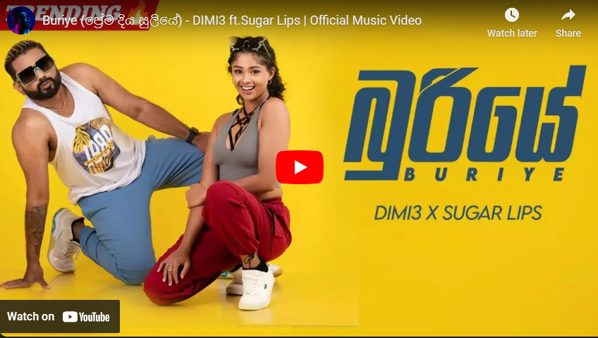 New Music : Buriye (ප්‍රේම දිය සුලියේ) – DIMI3 ft.Sugar Lips | Official ...