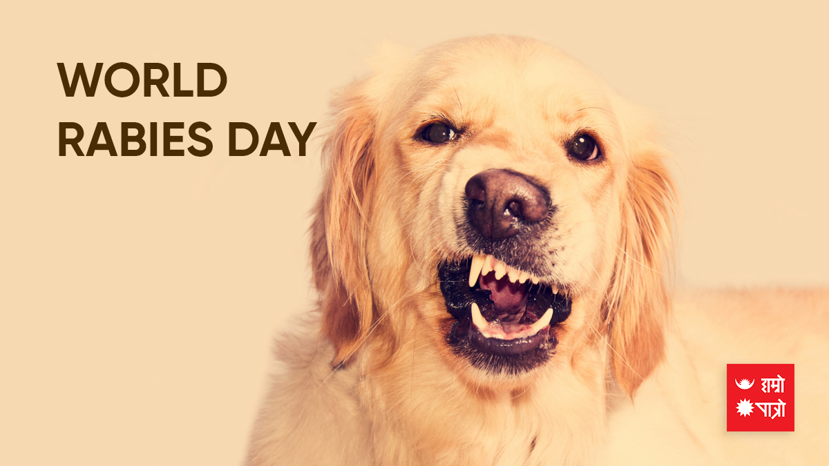 Indira Ekadashi Vrata | Ekadashi Shraddha | World Rabies Day ...