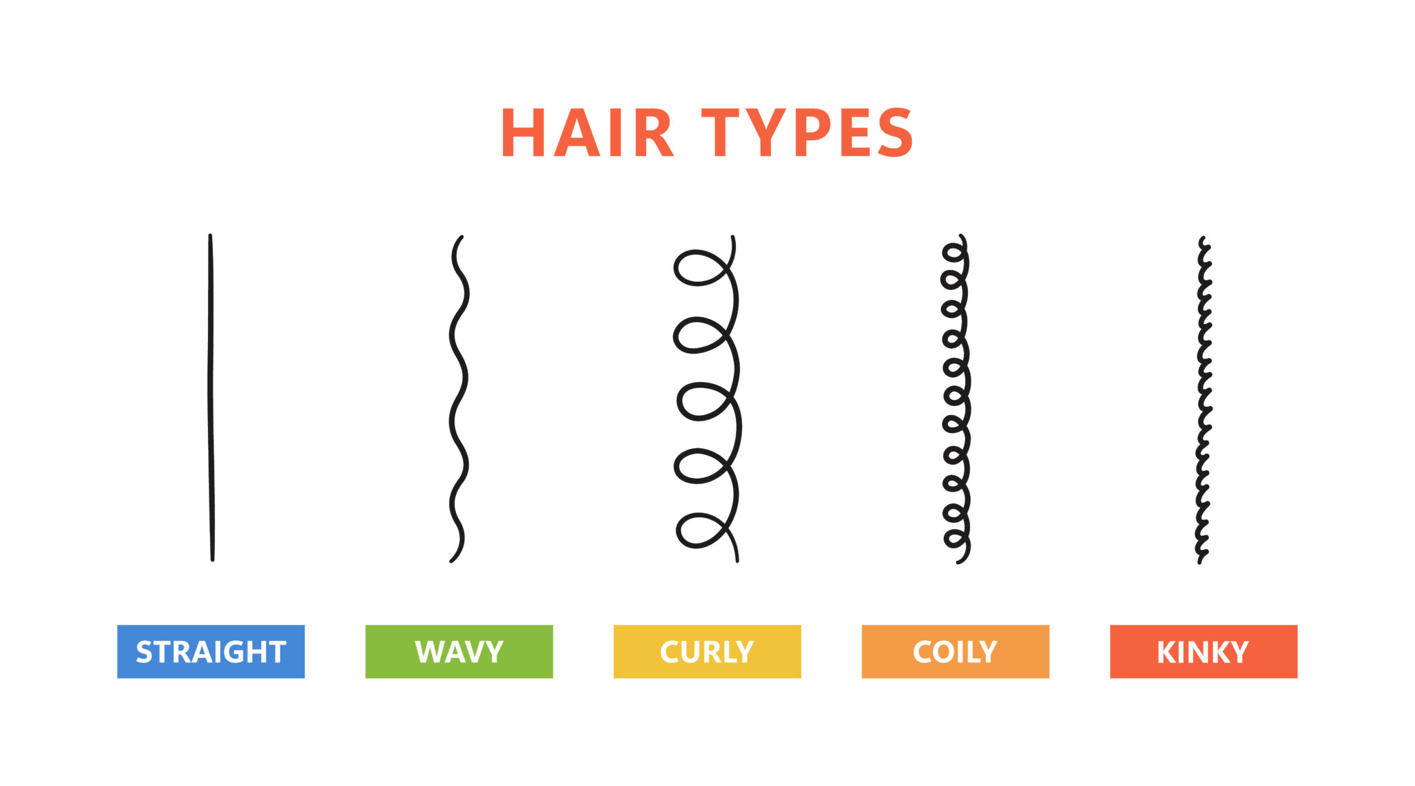 Short, Medium, or Long? Follow the Hair Length Chart Guide