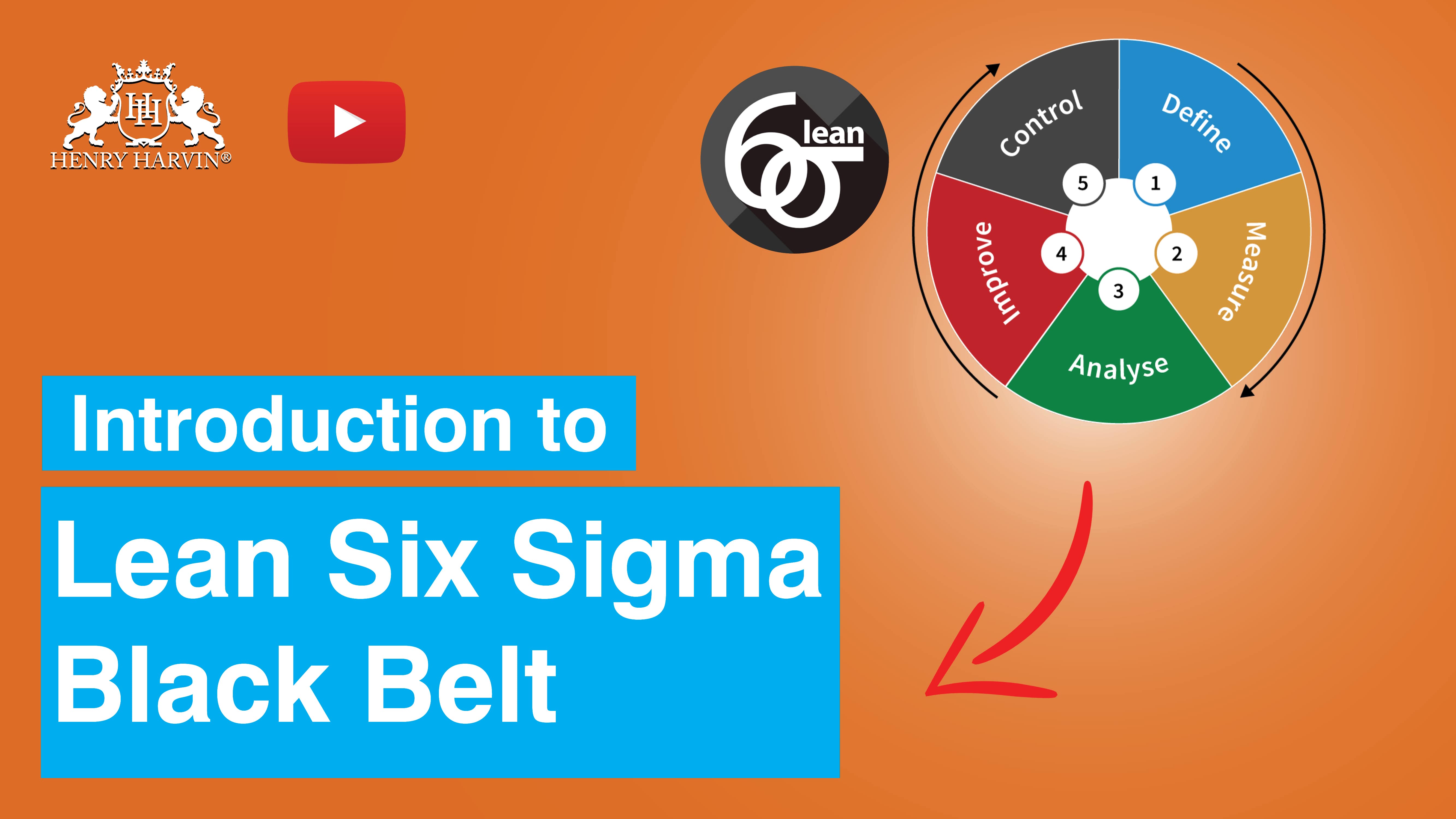 Six Sigma Master Black Belt : Lean Six Sigma Master Black Belt ...