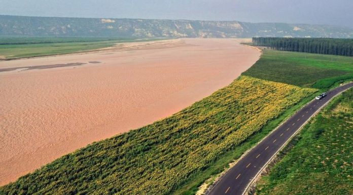 Sungai Kuning China mulai terbentuk 1,25 juta tahun lalu