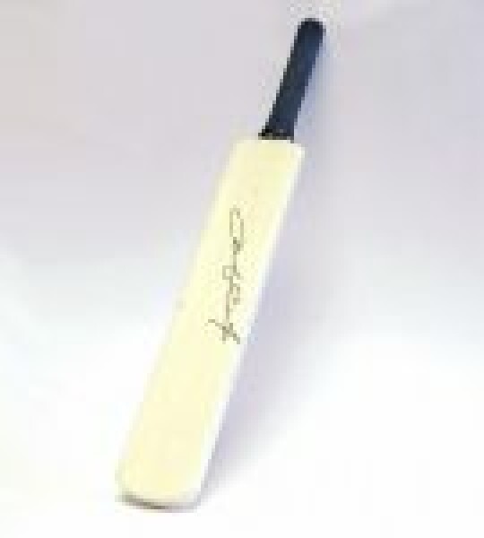 Best Quality Mini Signature Cricket Bat | Buy Online Sri Lanka - Buy ...