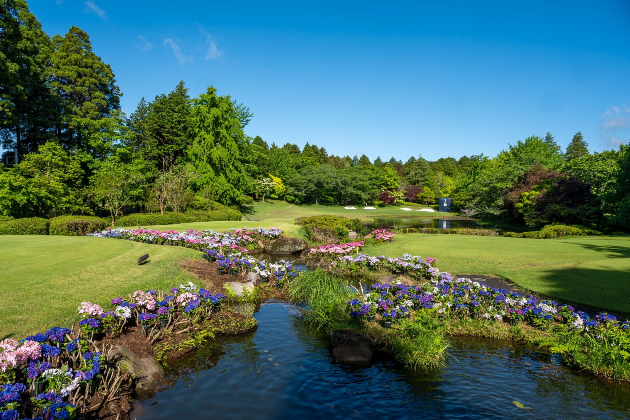 International Series Japan launches 2026 pathway to LIV Golf