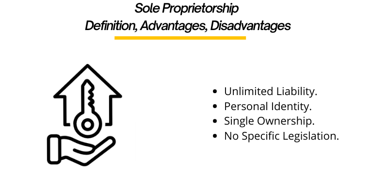 Sole Proprietorship - Definition, Advantages, Disadvantages
