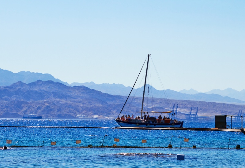 Dolphin Show in Goa - Today’s offer Rs.500 ( 29 % off)