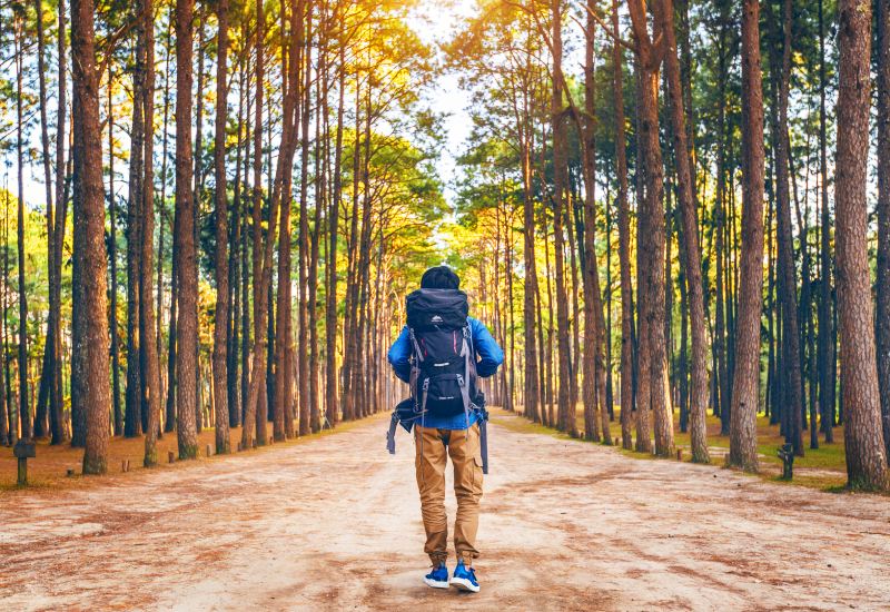 Pandu Ropa Trek - Today’s offer Rs.4350 ( 10 % off)