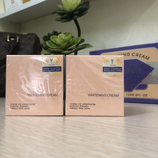 Kem Dưỡng Trắng Da Ban Ngày Hiệu Baschi - Mỹ Phẩm Hiệu